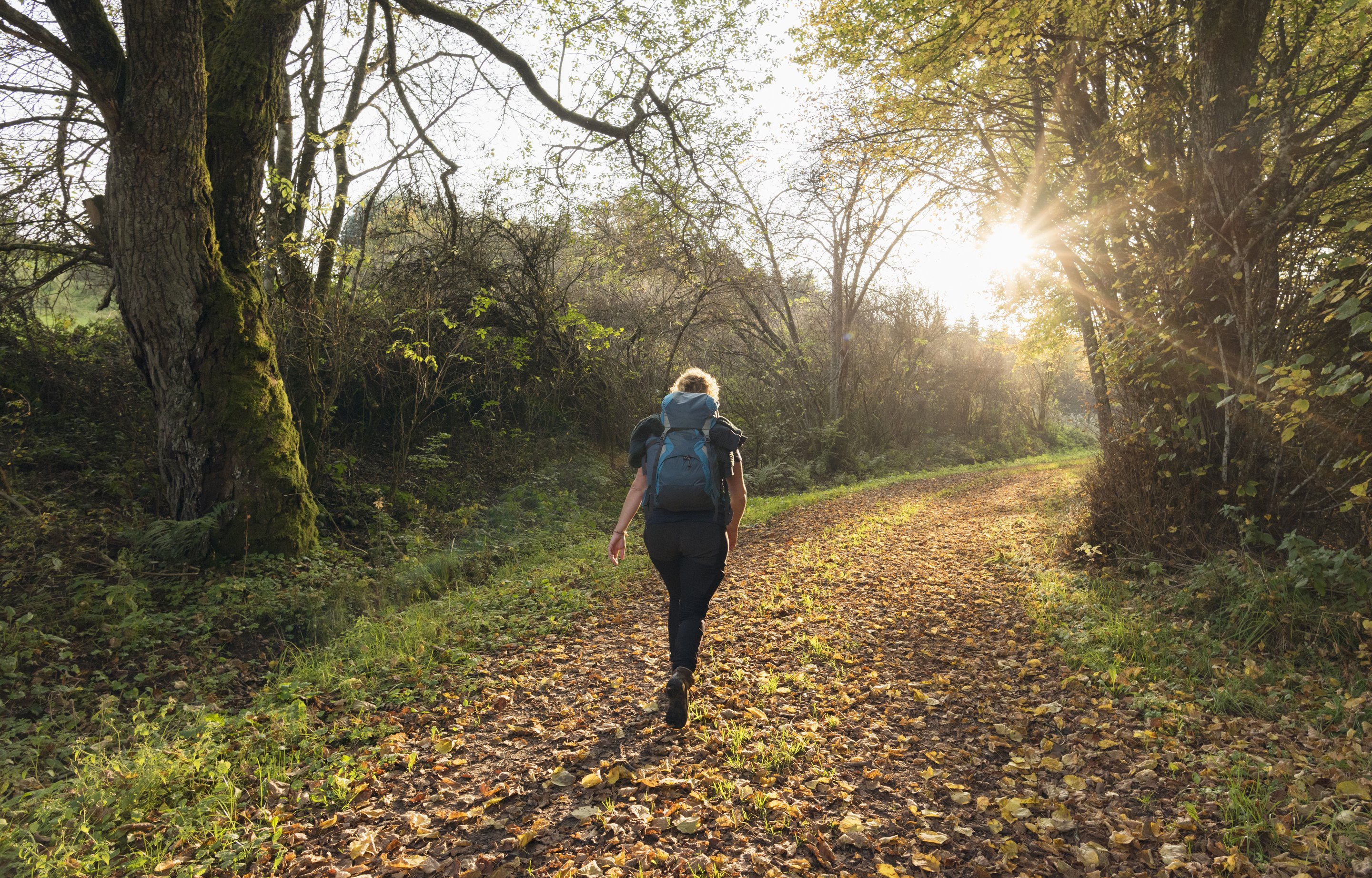 Guardabosques | No se que estudiar