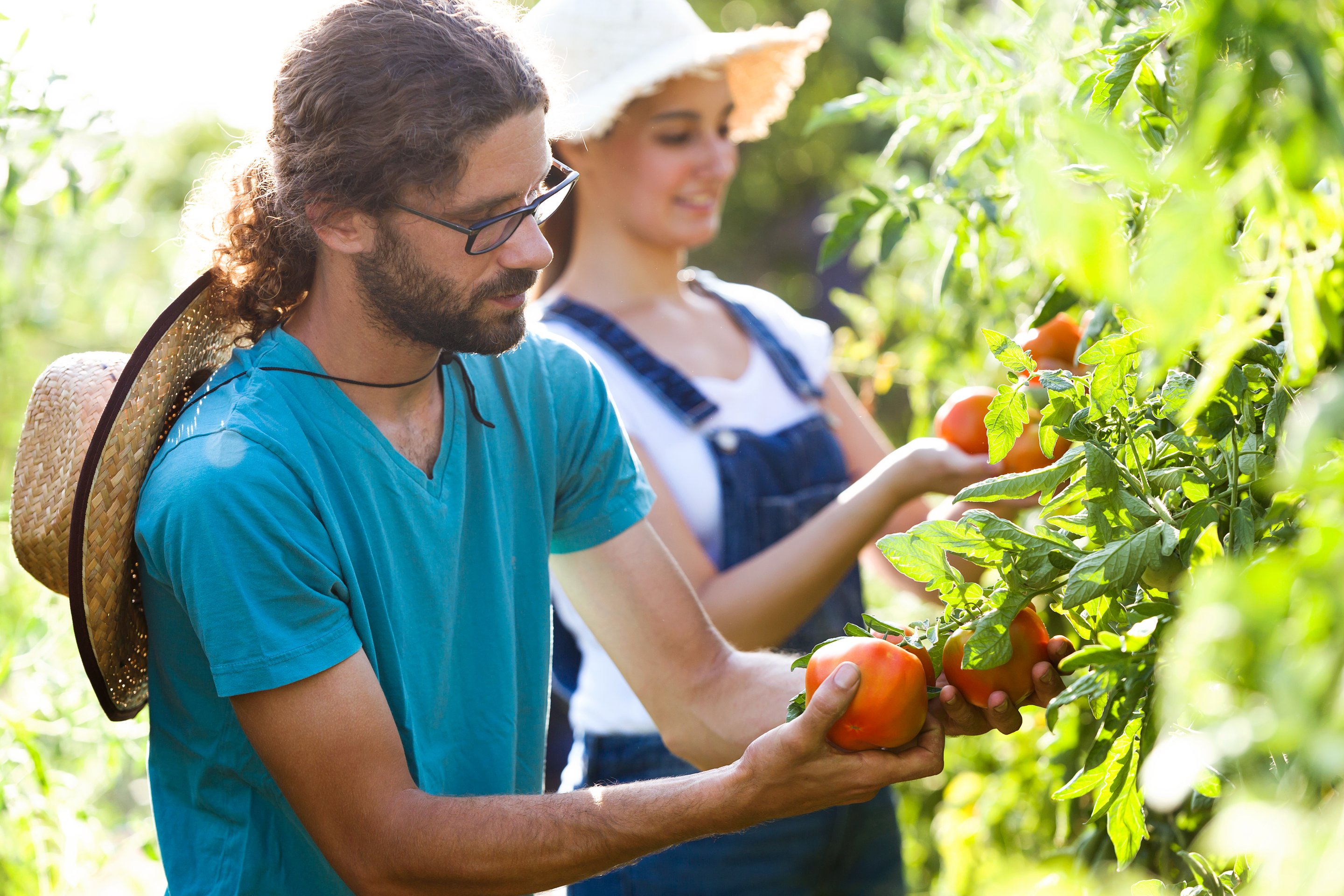 Horticultor/Horticultora | No se que estudiar