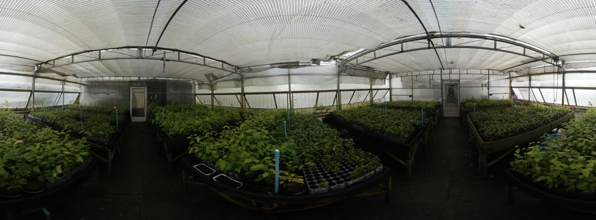 Botánico/Botánica | No se que estudiar